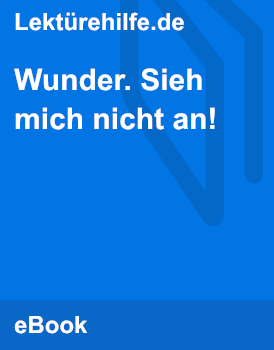 Wunder | Kapitelzusammenfassung Teil 1